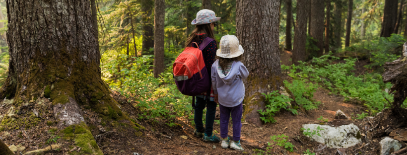 What does sensory play mean, and why is it crucial in early education? - Kindiedays Blog